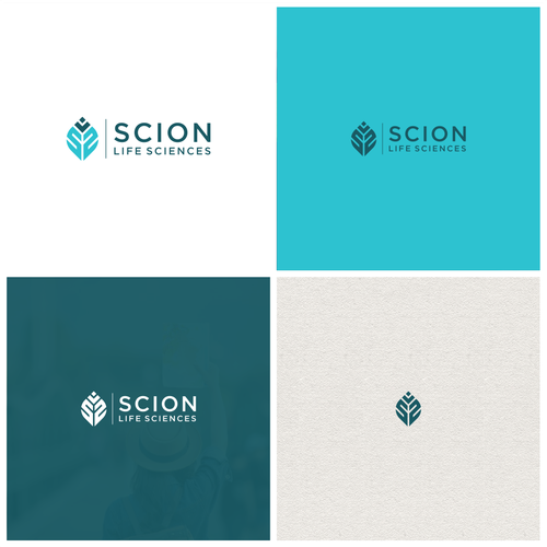 Designs | Putting the Finishing Touches on Our Life Sciences Company ...