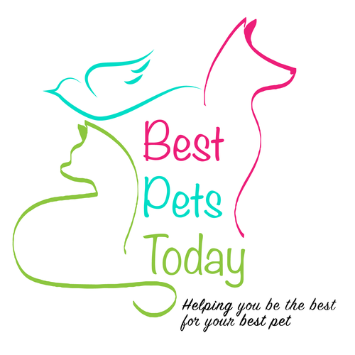 A professional, creative yet playful logo for a pet information website ...