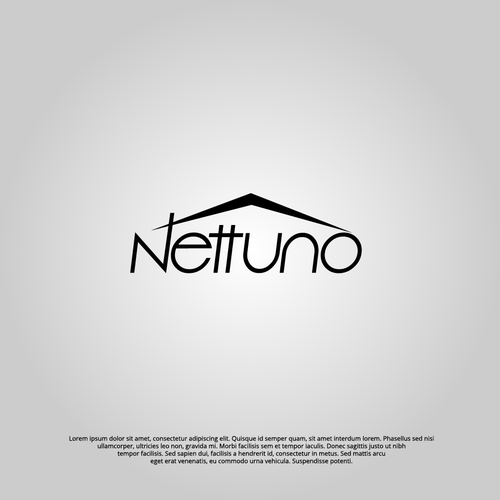 Creare un logo accattivante per il software di magazzino Nettuno ...