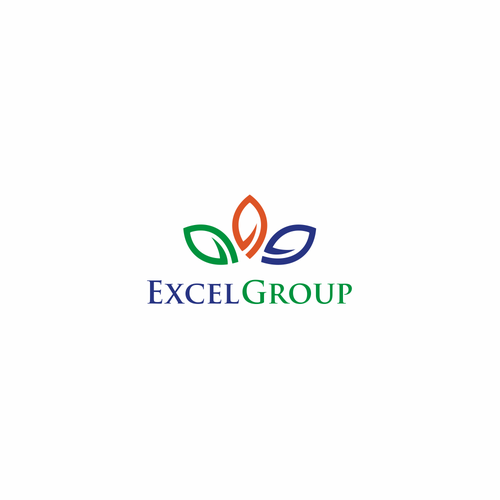 create a young and energic logo for professional service for EXCEL ...