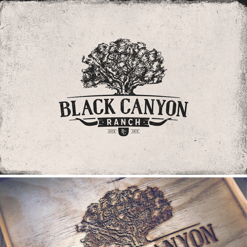 Create a logo that captures the heart of Black Canyon Ranch | Logo ...