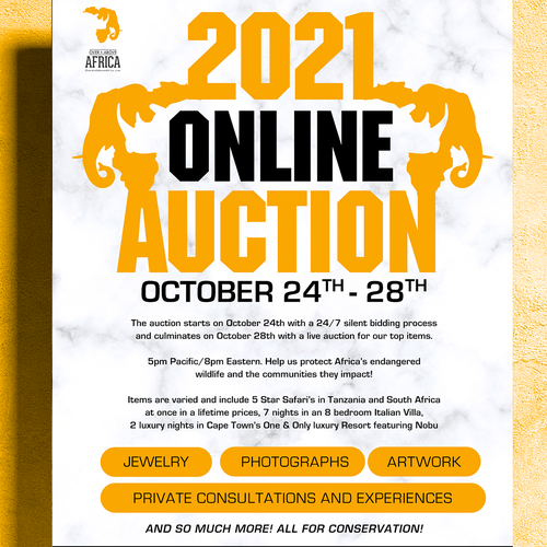 Designs | Design a poster and social media posts for branding our ...