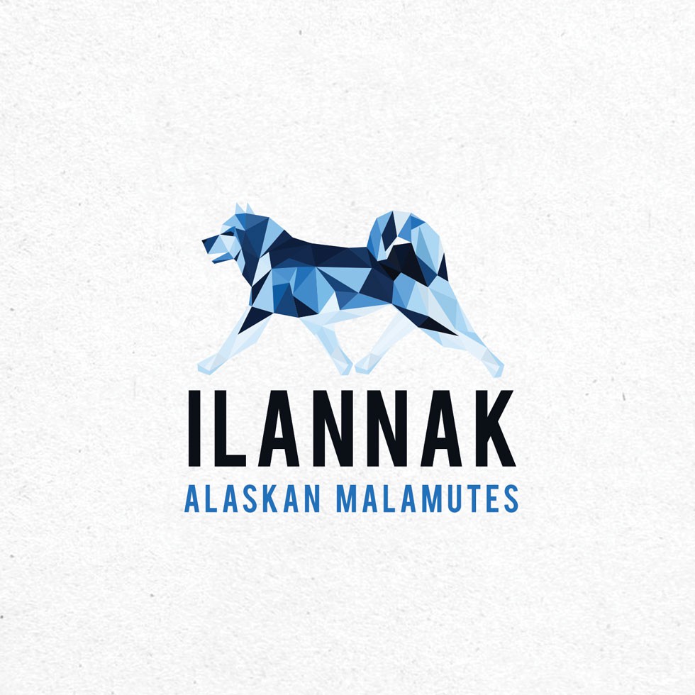 Alaska Logos - Free Alaska Logo Ideas, Design & Templates