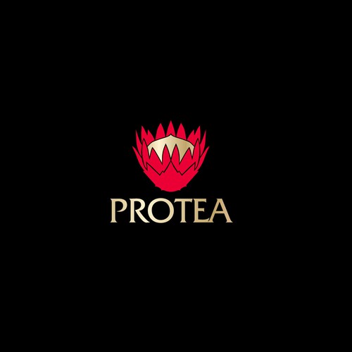 Designs | PROTEA logo--supporting programming to prevent and treat ...
