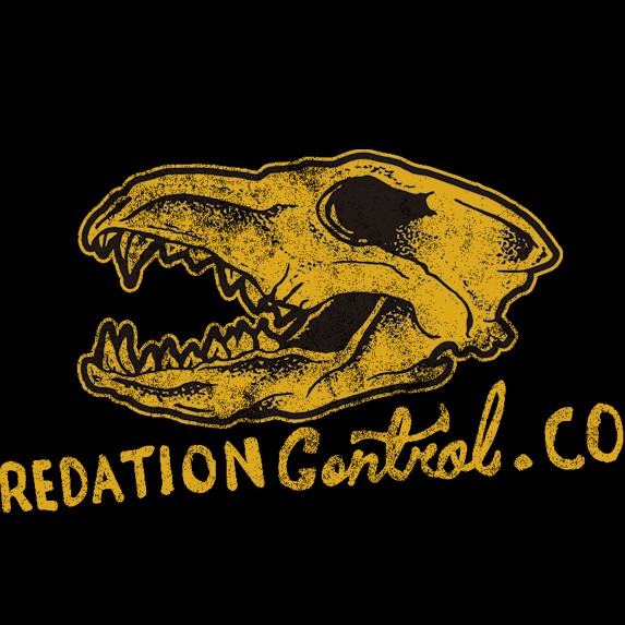 Predator Logos - Free Predator Logo Ideas, Design & Templates
