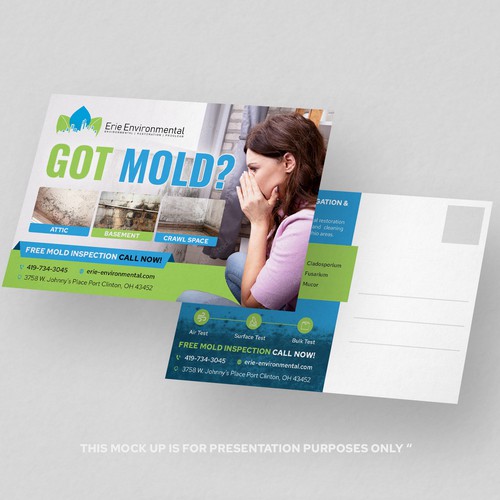 Designs | Get the word out about mold and that our company will take ...