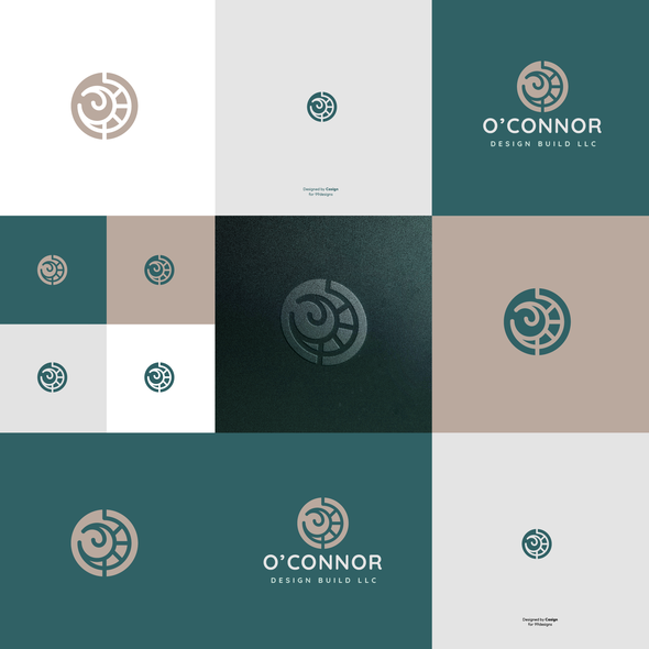 Shell Designs - 85+ Shell Design Ideas, Images & Inspiration In 2023 ...