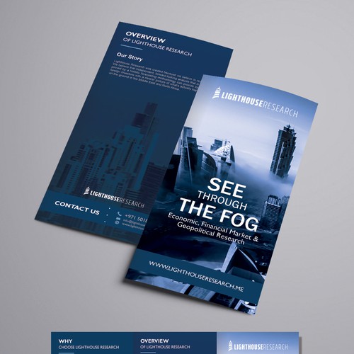 Redesign a company brochure for an economic consultancy. | Brochure contest