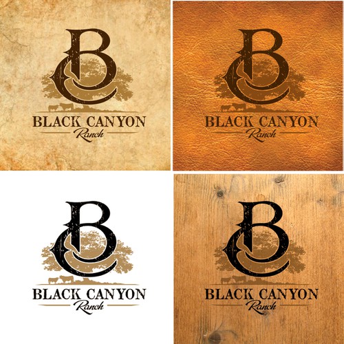 Create a logo that captures the heart of Black Canyon Ranch | Logo ...
