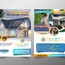 Direct Mail Design - Professional Mailer Designers | 99designs
