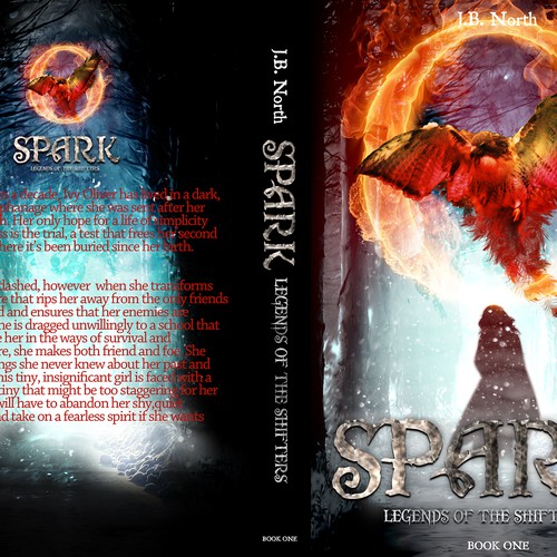 Designs | Create a book cover for an ice and fire themed YA fantasy ...