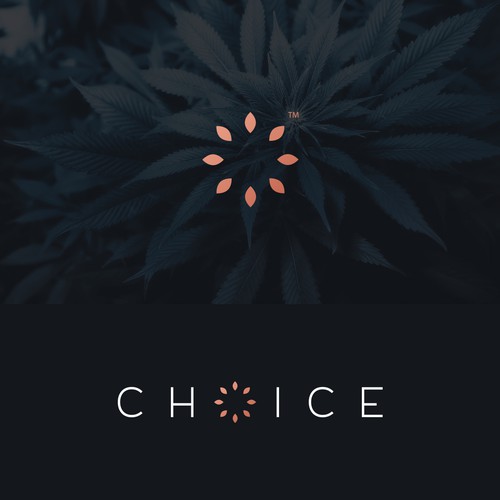Choice Logo Design | Logo design contest