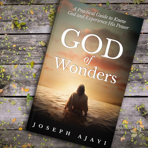 Designs | Who can create a wonder cover for the God of Wonder" | Book ...