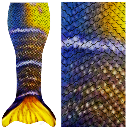Design Mermaid Tail | Illustration or graphics contest