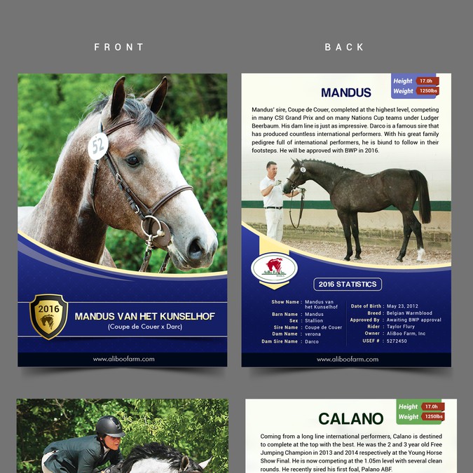 AliBoo Farm, Inc. 2016 Trading Cards | Postcard, flyer or print contest