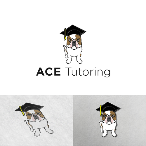 Tutoring agency needs professional logo | Logo design contest