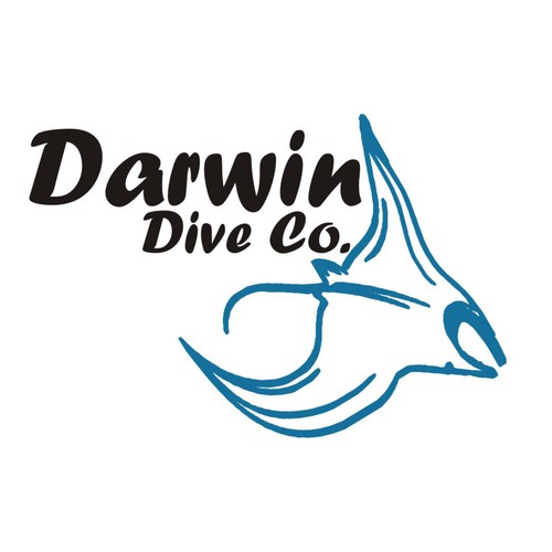 Create a dynamic logo for a diving company | Logo design contest