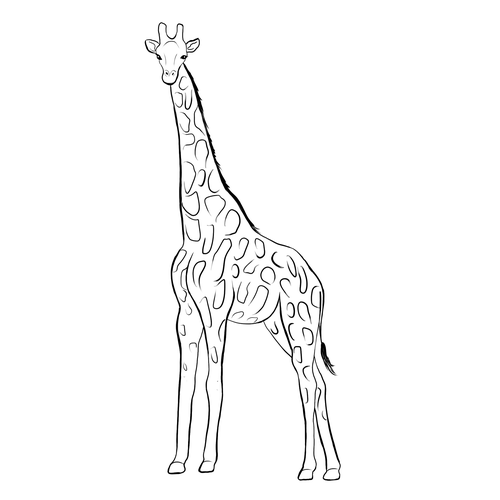 Giraffe Outline Tattoo