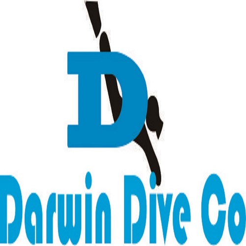Create a dynamic logo for a diving company | Logo design contest
