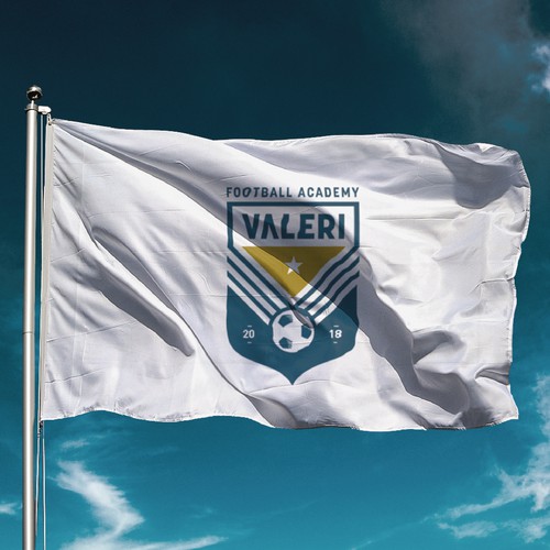 Valeri Football Academy needs a logo to take over the football(soccer ...