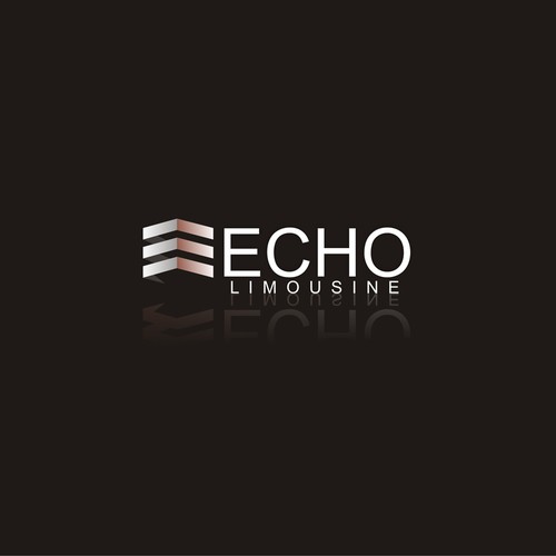 Echo Logo Ideas