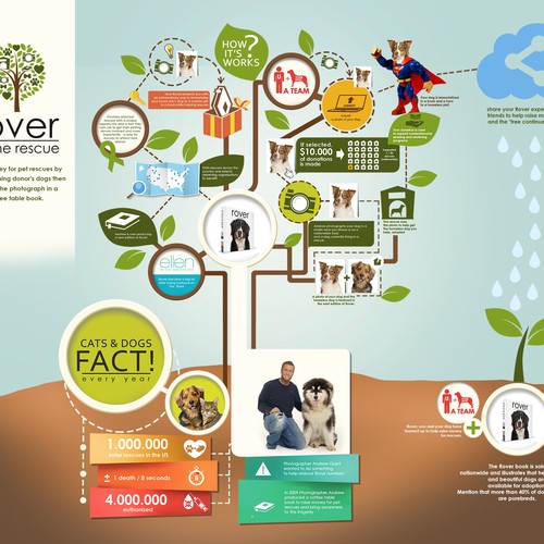 Infographic for organization that raises money for pet rescues ...