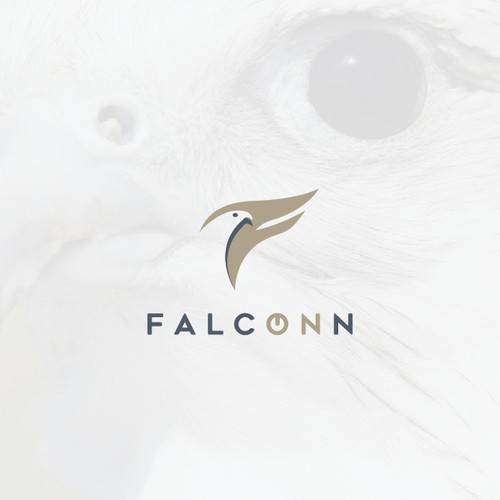 Falcon Logo Design