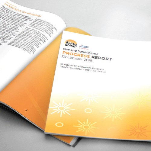 Visually appealing report | Other business or advertising contest