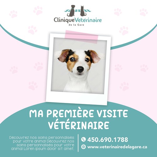 Designs | My first veterinary visit | Postcard, flyer or print contest