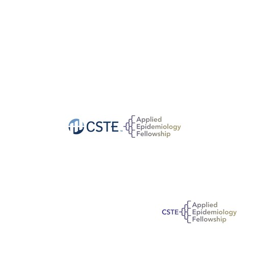 New, modern text logo for the CSTE Applied Epidemiology Fellowship ...