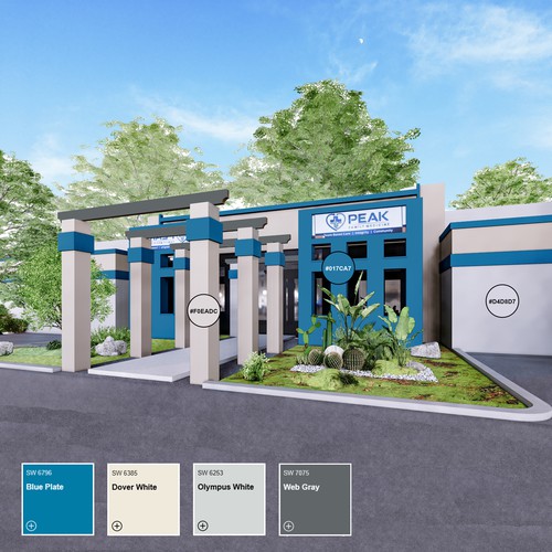 Designs | Doctors need HELP. Need ideas. PAINT a new look for the ...