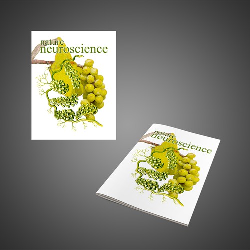 Illustration for the cover of prestigious neuroscience journal, Nature ...