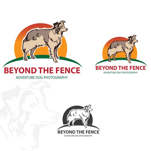 Draw Australian Shepherd dog and nature for an adventure photographer ...