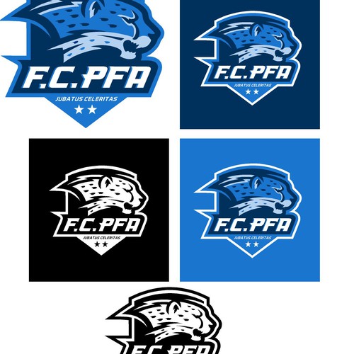 Adult men's soccer club seeks new logo | Logo design contest