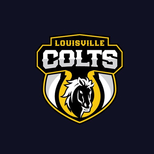 Designs | Create a Pro Sports Team Logo! | Logo design contest