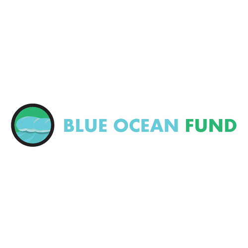 Create a logo for Blue Ocean Fund | Logo design contest