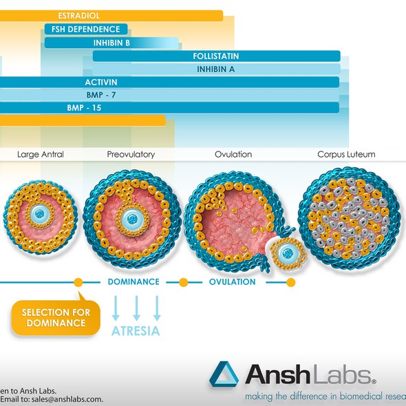 Biomedical Designs - 13+ Biomedical Design Ideas, Images & Inspiration ...