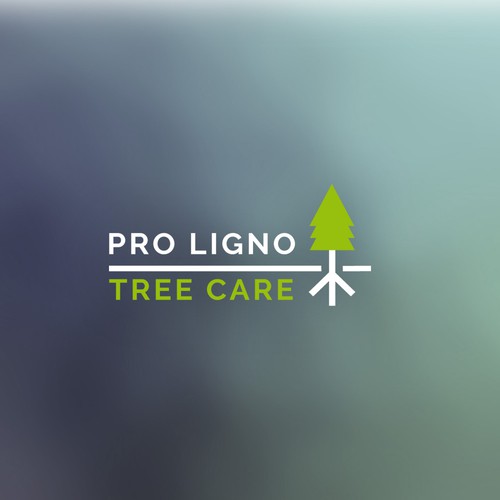 Make a logo that supports the company name pro ligno and showing that ...