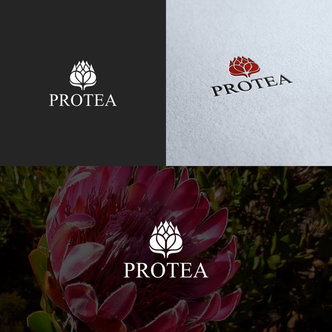 PROTEA logo--supporting programming to prevent and treat addiction ...
