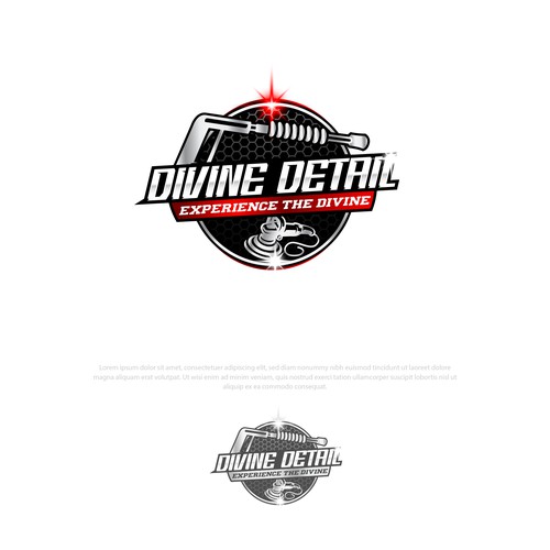 Designs | Help start the Divine Detail | Logo design contest