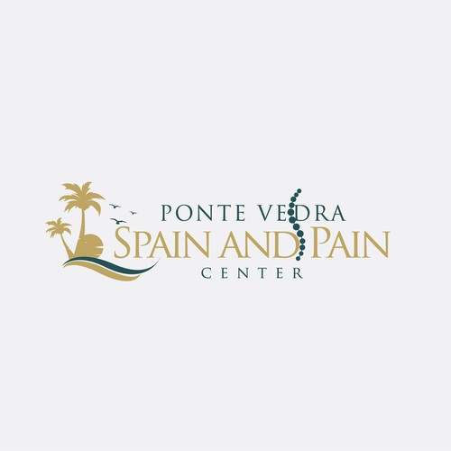 designs-spine-and-pain-medical-practice-in-florida-logo-design-contest