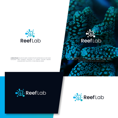 Designs | The best Reef science out there, leaders in technology ...