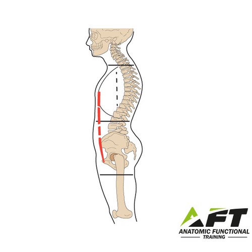 Spine Designs - 87+ Spine Design Ideas, Images & Inspiration In 2023 ...