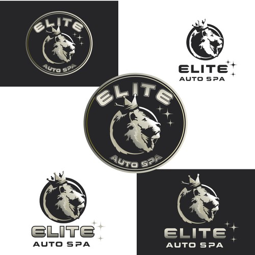 Create a logo for a high end Car Wash/Auto Spa | Logo design contest