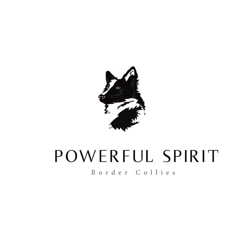 Creat a powerful, loving Border Collie (this is a dog breed) breeder ...
