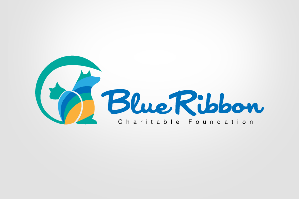 Blue Ribbon Charitable Foundation needs a new logo | Logo design contest