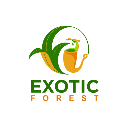 Create an exotic Logo for a webshop (Rainforest) | Logo design contest