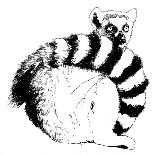 Realistic Animal illustrations | Illustration or graphics contest