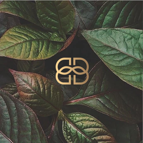 Sustainable Logos: the Best Sustainable Logo Images | 99designs