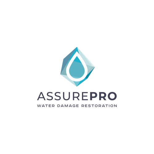 Designs | Transforming Water Damage into Art – Logo for a Thrilling ...